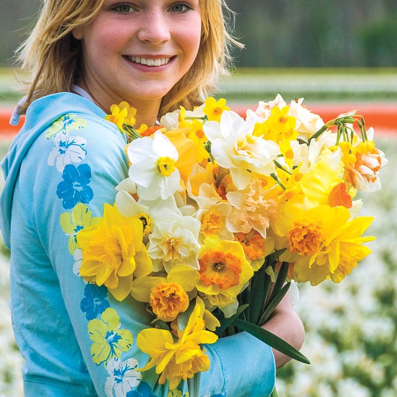 Fragrant Daffodil Mix - Daffodil Bulbs for Sale | PlantsRose